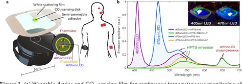 Figure From A Patient Ready Wearable Transcutaneous CO Sensor Semantic Scholar