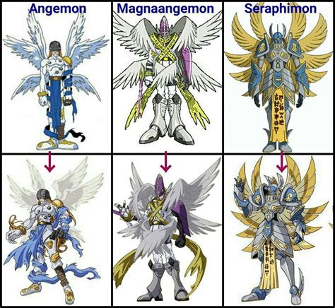 Digimon Angemon Evolution