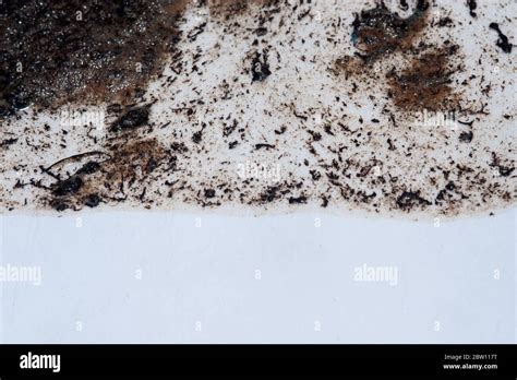 Oil absorbing paper at the beach Stock Photo - Alamy