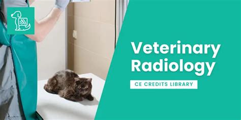 Veterinary Radiology Diagnostic Imaging Courses For Ce Credits