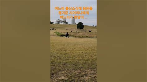 며느리 출산소식에 용돈을 챙겨준 시어머니에게 며느리가 한말이 올림픽공원 Youtube