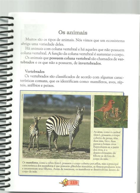 Texto Informativo Sobre Animais Fdplearn