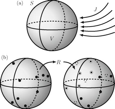 The Continuity Equation For Vector Valued Quantities Computational Diffusion MRI MICCAI