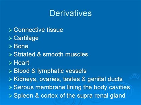 Mesodermal Derivatives By Dr Mujahid Khan Derivatives Connective