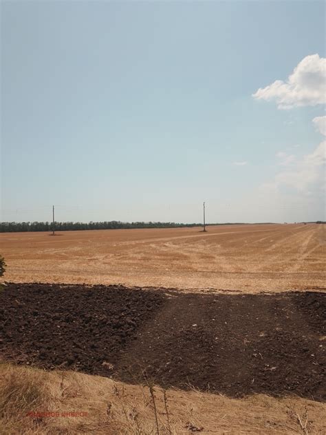 Продава ЗЕМЕДЕЛСКА ЗЕМЯ в област Добрич с Соколово 10 дка 60000 лв Imot Bg Обява