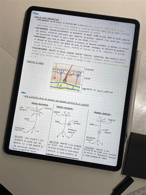 Good Notes 5 Ipad Pro For Effective Note Taking