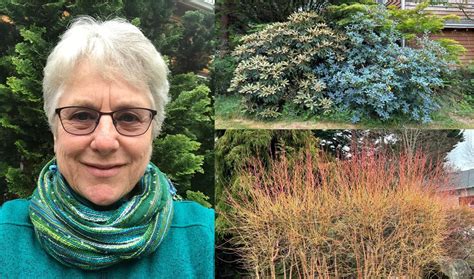 Renovating The Aging Garden With Bess Bronstein Northwest Horticultural Society Northwest