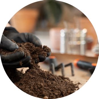 Soil Testing Alpha Lab Technologies