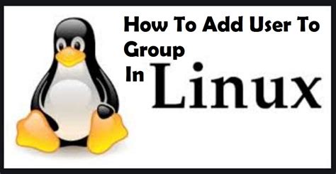 How To Add A User To A Group In Linux Bash Linux