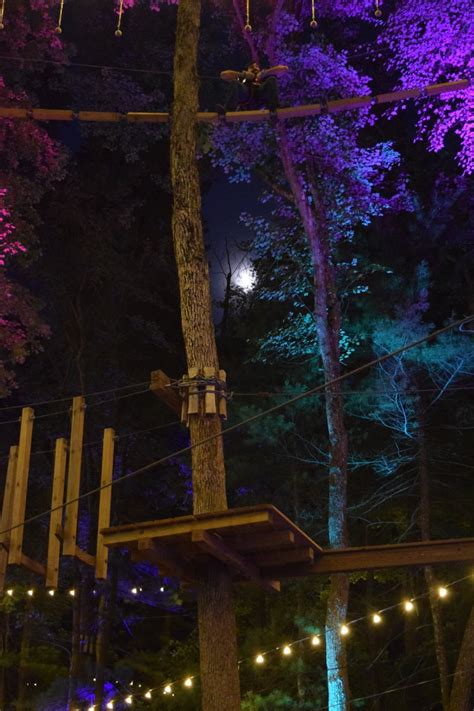 Check Out Some Photos From Our Course Tree Top Adventures