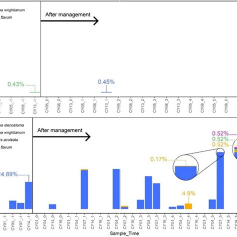 Abundance Of Unambiguous Wet Indicator Taxa Before And After