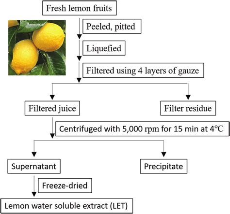 The Extraction Methods Used To Isolate Lemon Water Soluble Extract
