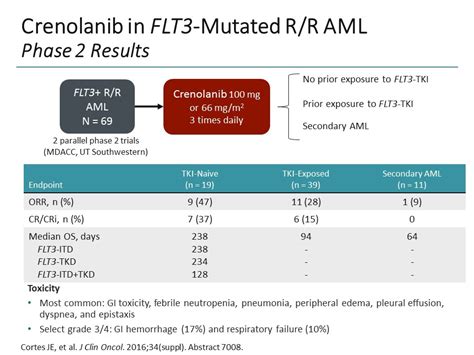Relapsed Refractory FLT AML Challenges And New Directions Transcript