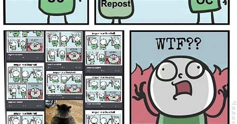 Imgur In A Nutshell Album On Imgur