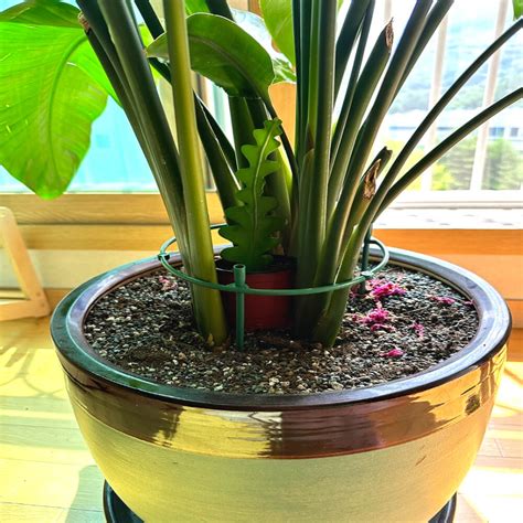 원형 식물 꽃 화분 지지대 스텐드 온채널