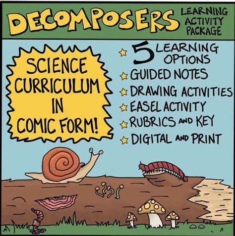 Parts Of An Ecosystem Decomposers Teaching Science Comics Science
