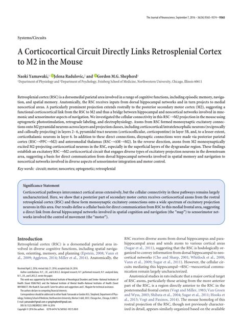 Pdf A Corticocortical Circuit Directly Links Retrosplenial Cortex To