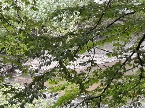 Samsung Galaxy J5 2017 Review A Milestone For The Masses Sammobile