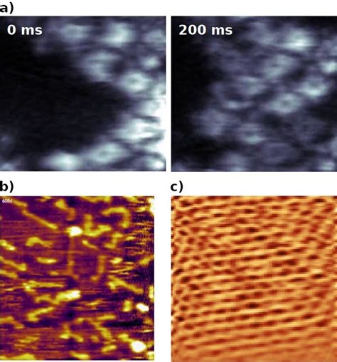 Frames From Faststm Movies Acquired With The Fast Module Coupled To Download Scientific
