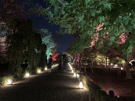 会期終了NAKED FLOWERS 2022 秋 二条城 訪問記 チケット購入は 見どころは 参加型イベントはカフェイベントは