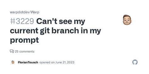 Cant See My Current Git Branch In My Prompt · Issue 3229 · Warpdotdevwarp · Github