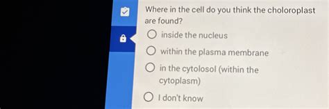 Solved Where In The Cell Do You Think The Choloroplastare