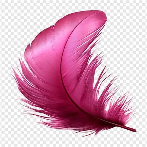 Перо Png Изображения скачать бесплатно на Freepik