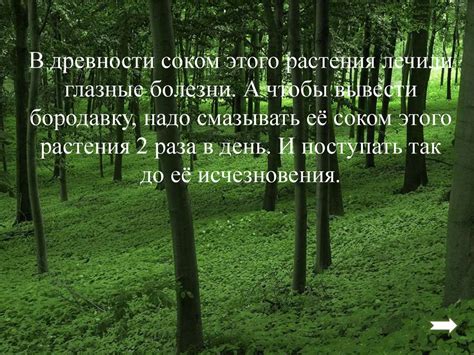 Своя игра «Лесные тайны» - презентация онлайн