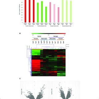Transcriptome Profile Reproducibility A Linear Correlation Between Download Scientific