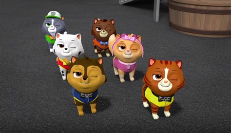 Kitten Catastrophe Crew Paw Patrol Wiki Fandom Powered By Wikia