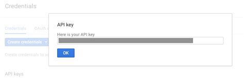 Google Maps Now Forcing Developers To Use An API Key Returning MissingKeyMapError Igor Kromin