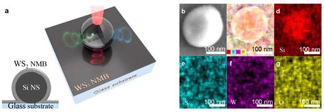 Resonance Coupling In Siws2core Ω Shell Nanostructure