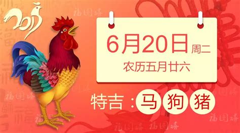 6月20日，生肖馬、狗、豬、雞、兔、虎！花開富貴，家有喜事！菩薩保佑！ Peekme