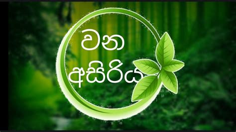 ශිෂ්‍යත්ව පාඩම් සඳහා වන අසිරිය ගැන රචනාව Youtube