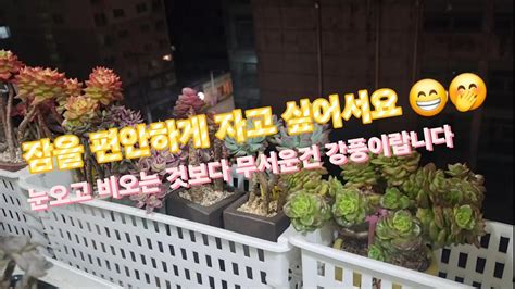 ☔️비만 오는 줄 알았는디 😥🤭 강풍도 동반한다고 하네요 밤중에 😆🤣 Youtube