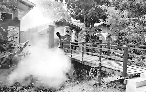 ညောင်ဦးမြို့ မူလတန်းကြိုကျောင်း၌ သွေးလွန်တုပ်ကွေးရောဂါ ကင်းဝေးစေရေး ခြင်ဆေးဖျန်းခြင်းလုပ်ငန်းမ