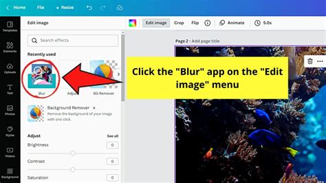 how to blur the edges of a photo in canva in 9 simple steps