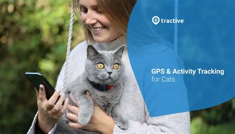 Microchips Vs Gps Trackers The Purrington Post