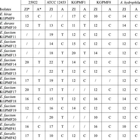 Biochemical And Physiological Characteristics Of Isolated Enterococci Download Scientific Diagram