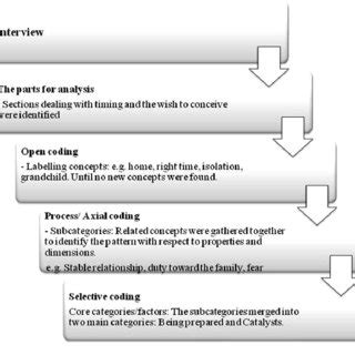 Example Of The Analysis Process Download Scientific Diagram