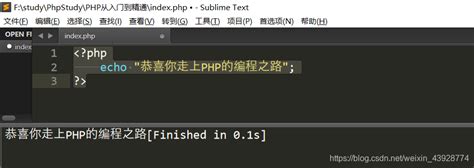 在sublime Text3中运行php代码sublime Php Path Csdn博客