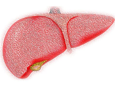 Highly Accurate Non Invasive Test For Major Liver Diseases Created By Researchers