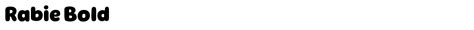Rabie Font Webfont And Desktop Myfonts