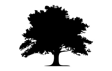 Oak Tree Silhouette Outline