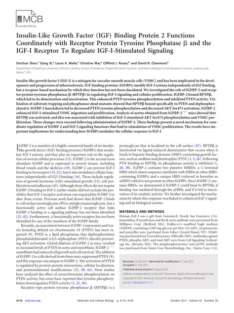 Pdf Insulin Like Growth Factor Igf Binding Protein 2 Functions Coordinately With Receptor