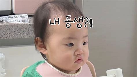 다해 동생 가지러 갑니다 둘째 시작 👶🏻 Youtube