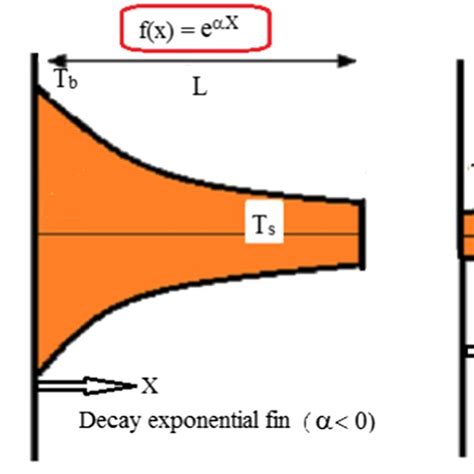 Profile Of The Temperature Distribution In The Growing Exponential