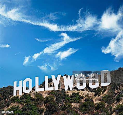 Hollywood Sign Portrait
