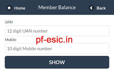 How To Check EPF Balance And View EPF Passbook On Mobile Provident Fund ESIC