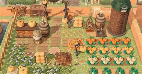 ‘acnh Pumpkin Patch Ideas You Might Want To Use On Your Island